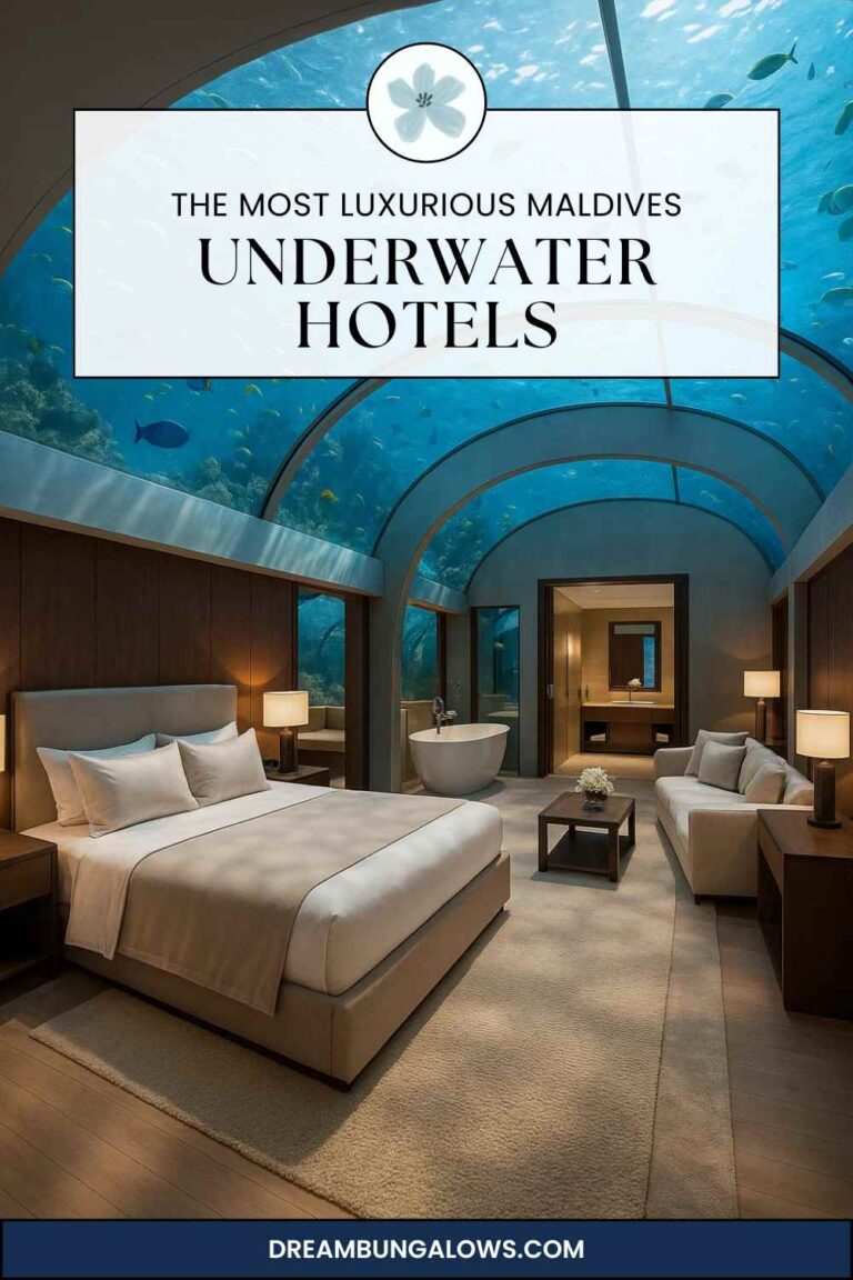 The BEST Maldives Underwater Hotels in 2025: Sleeping With Sharks